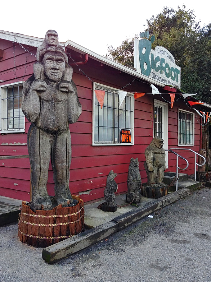 Is it Bigfoot or just a really hairy tourist? Step inside this quirky museum and decide for yourself!