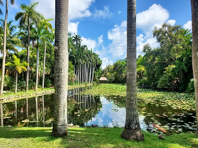Shell-shocked in the best way. Bonnet House's shell museum would make even Ariel from "The Little Mermaid" green with envy.