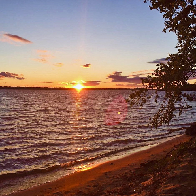 Buckhorn's wildlife watching: It's like Pok&eacute;mon Go for bird enthusiasts. Gotta spot 'em all!