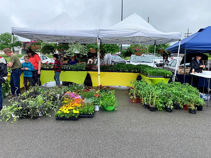 Green thumbs and green bills unite! This market is where Mother Nature shows off her bounty and your wallet does a happy dance.