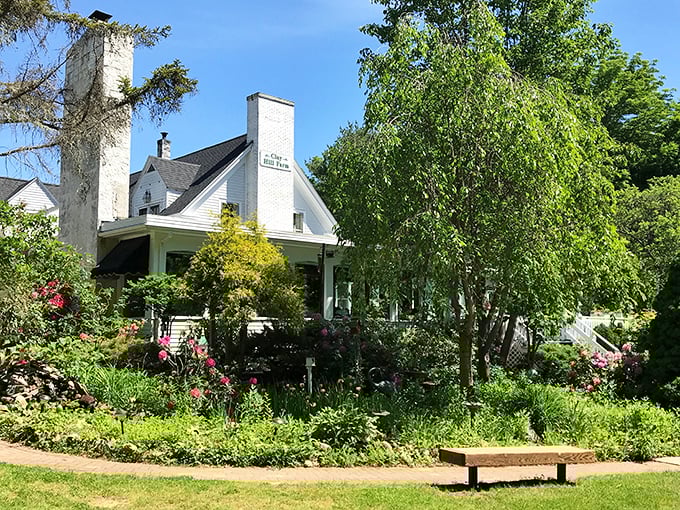 Where Mother Nature and Father Flavor joined forces! Clay Hill Farm's lush surroundings set the stage for a magical meat experience.