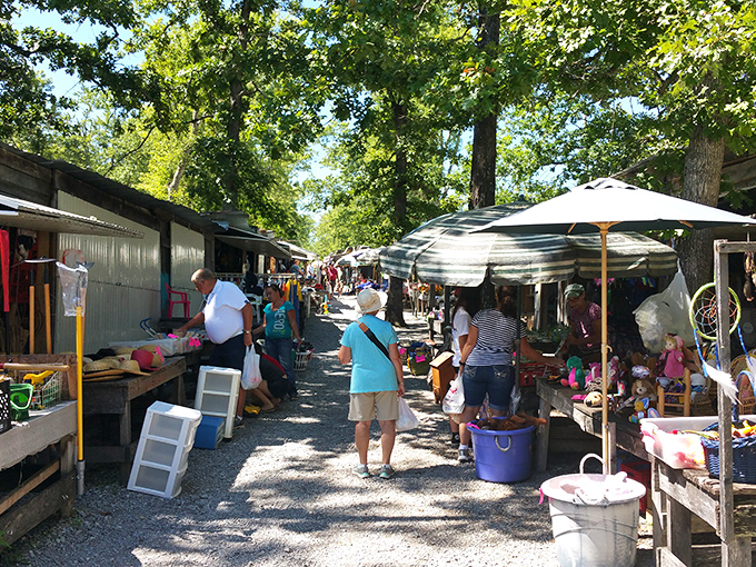 Under shaded canopies, vendors create an old-fashioned marketplace where browsing is as enjoyable as buying.