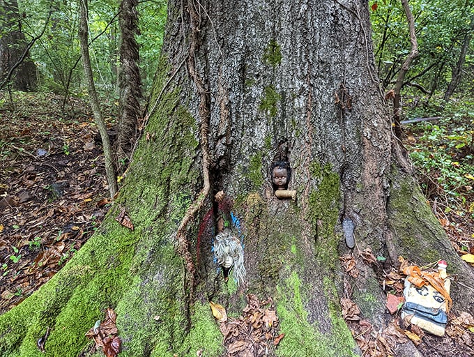 One person's trash is another's treasure on this eerie art walk. Doll's Head Trail: where discarded toys get a second life!