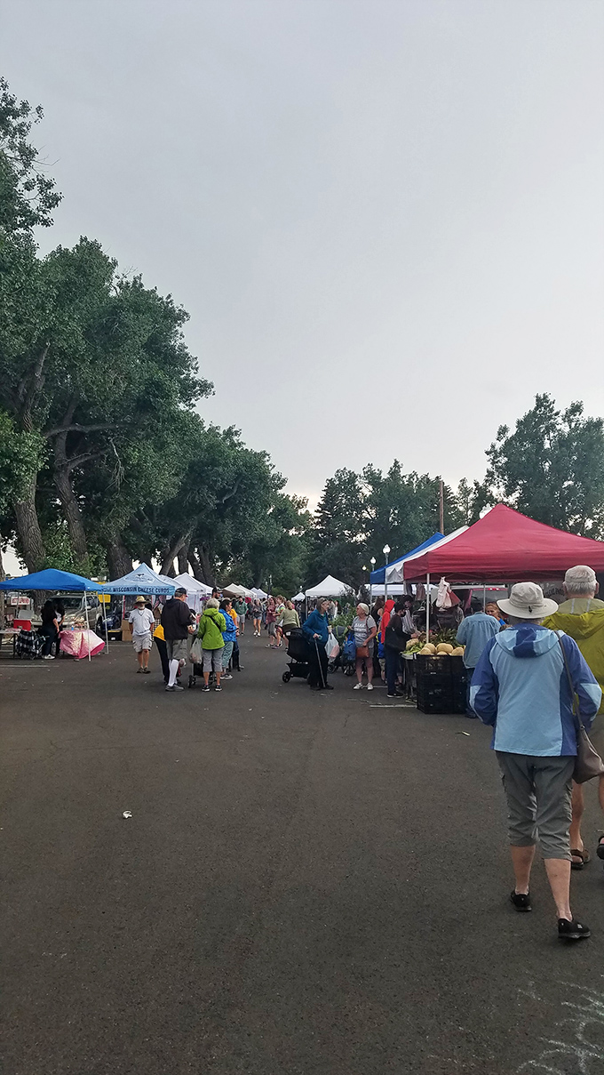 Sun-dappled shopping spree! Laramie's market day is a perfect blend of farm-fresh goodies and flea market treasures under the big Wyoming sky.