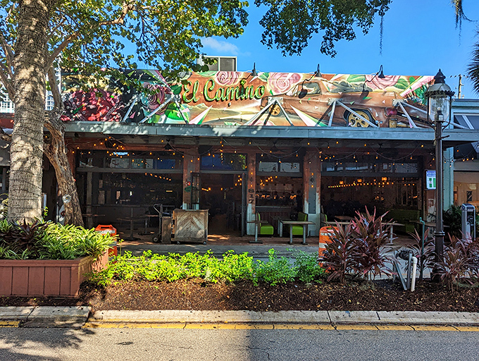 Lights, camera, tacos! El Camino's vibe is pure movie magic, but the real stars here are on your plate. No autographs necessary, just dig in!