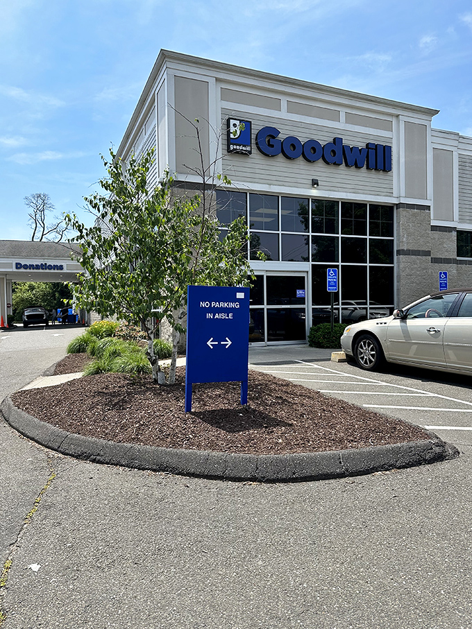 Step into Goodwill and prepare for sensory overload! This store is a kaleidoscope of colors, textures, and unbeatable deals.