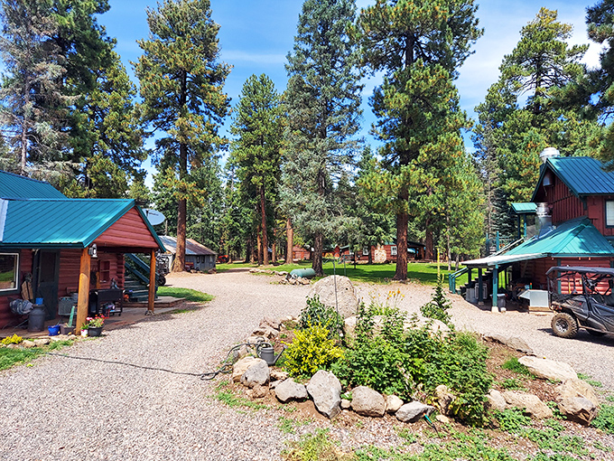 The hills are alive... with the sound of hikers gasping at the view! Hannagan Meadow gives "The Sound of Music" a run for its money.