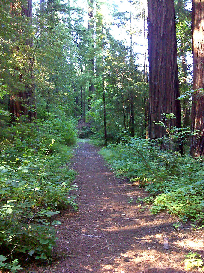 Eel River: So picturesque, you'll swear Mother Nature used Photoshop. Perfect for toe-dipping and deep thinking.