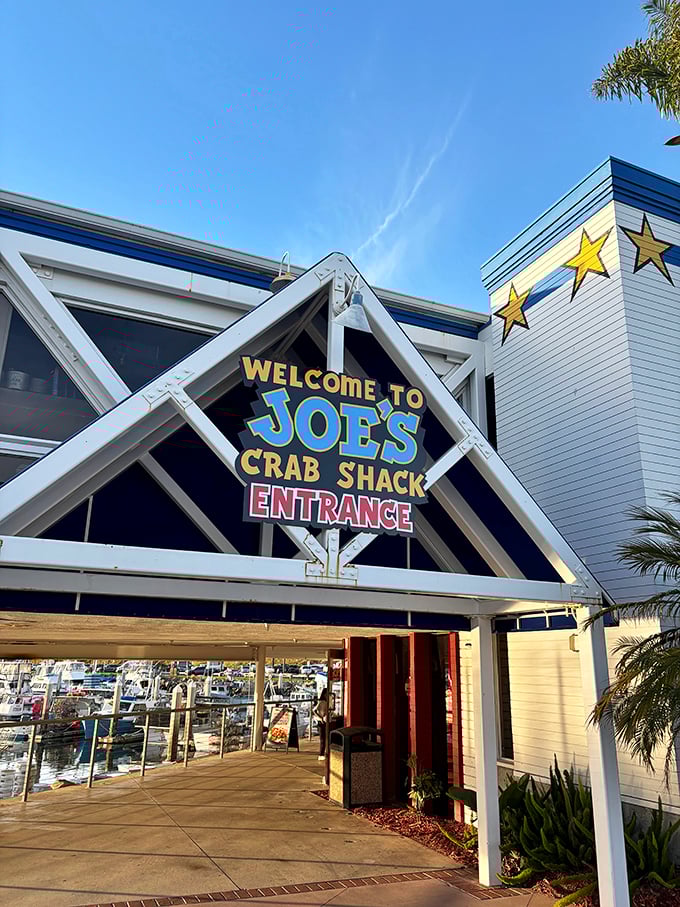 Night or day, Joe's Crab Shack is always ready to party. It's like Mardi Gras, but with more crab legs!
