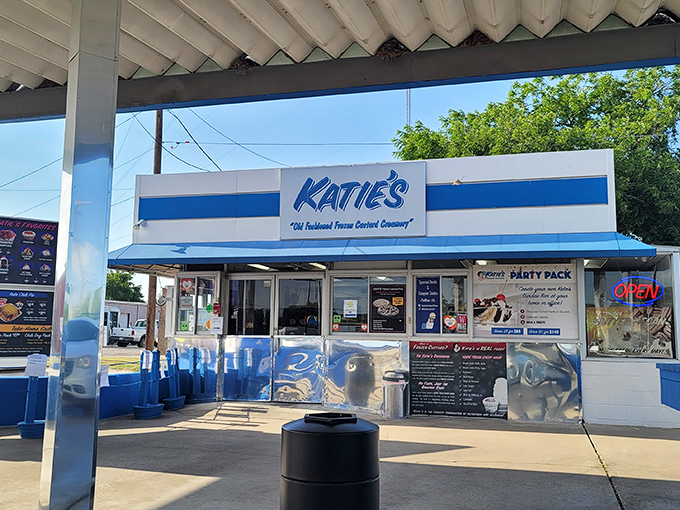 At Katie's, custard is elevated to an art form. It's like the Louvre, but with more sprinkles and fewer tourists.