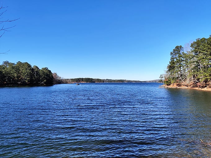 Golden sands meet azure waters, creating a Caribbean-esque paradise. Lake Lanier Islands: proving Georgia's got more than just peaches up its sleeve.