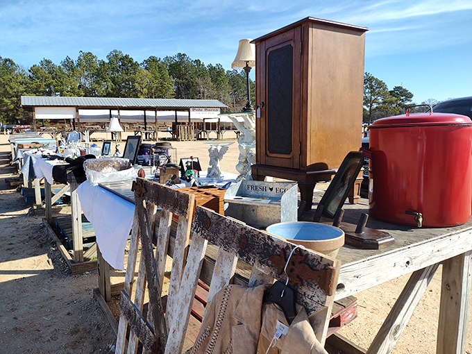 From the practical to the peculiar, Lee County Flea Market has it all. It's like a real-life treasure map, where X marks... well, everything!
