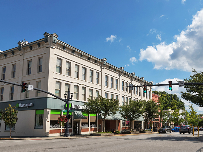  Tappan Square: Oberlin's beating heart. On any given day, you might catch an impromptu opera or a philosophical debate with squirrels.