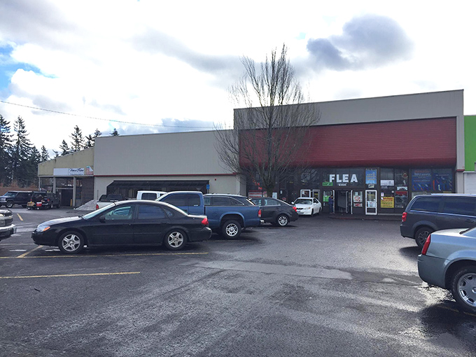 From lava lamps to Elvis on velvet, it's a groovy trip down memory lane. Just don't blame us if you leave wearing bell-bottoms!