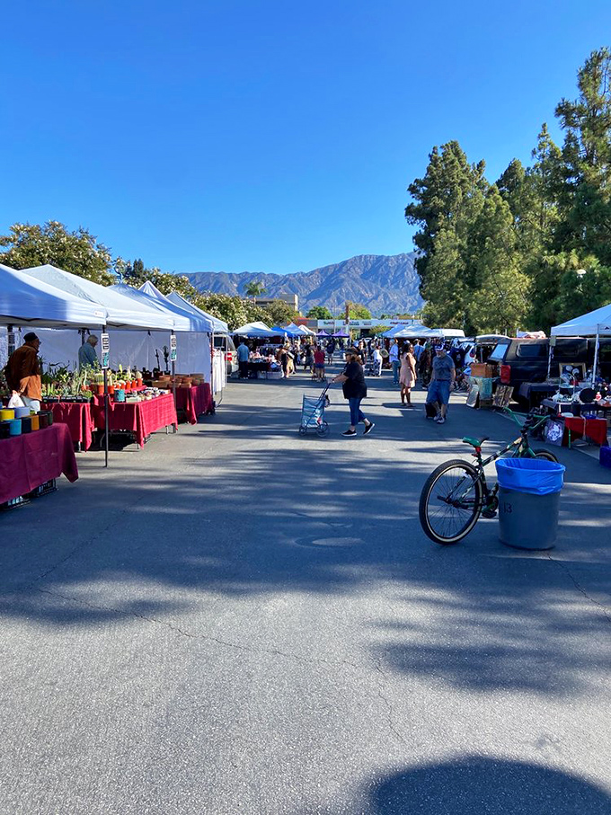 College parking lot by week, treasure trove by Sunday. Who knew higher education could be so&hellip; antiquated?