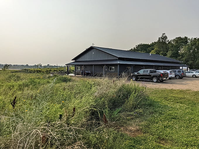 Vineyard views for days! Painted Prairie's rows of vines stand at attention, waiting for your taste buds to inspect.