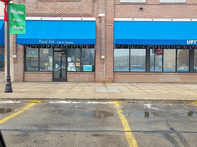 Planet Perk's entrance: Where every visit is a potential origin story for your new feline sidekick. Capes not included.