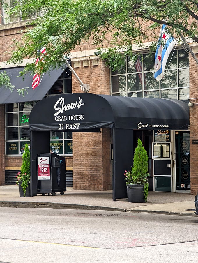 Oysters still gossiping about ocean drama? Must be Shaw's raw bar! Chicago's swankiest spot for underwater delights.