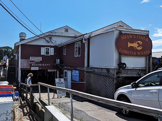 Multi-level seafood paradise alert! Shaw's serves up lobster with a side of "Is this real life?" Pinch yourself, it's not a dream.