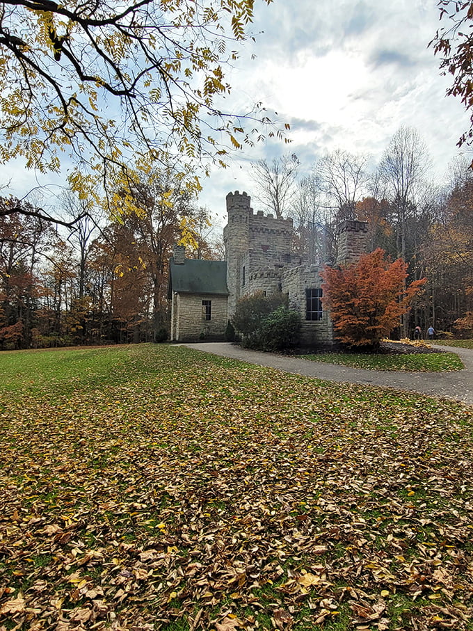 Who needs walls when you've got imagination? Squire's Castle proves that sometimes, the journey is more important than the destination.