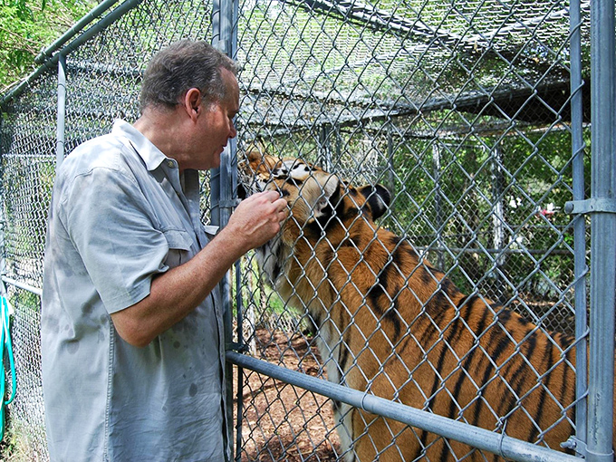 Wolf encounters that'll have you howling with excitement. St. Augustine Wild Reserve is a real animal house!