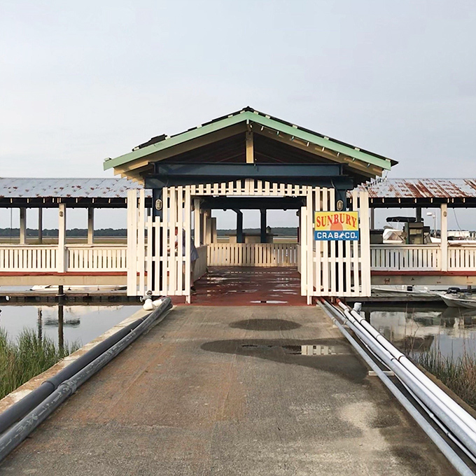 Imagine cracking into fresh crab while the sun dips below the horizon. That's not heaven, that's just a typical evening here!