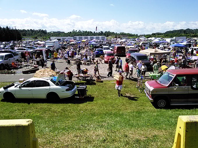 Where every purchase tells a story. From vintage vinyl to questionable lawn ornaments, this market has it all – and then some.