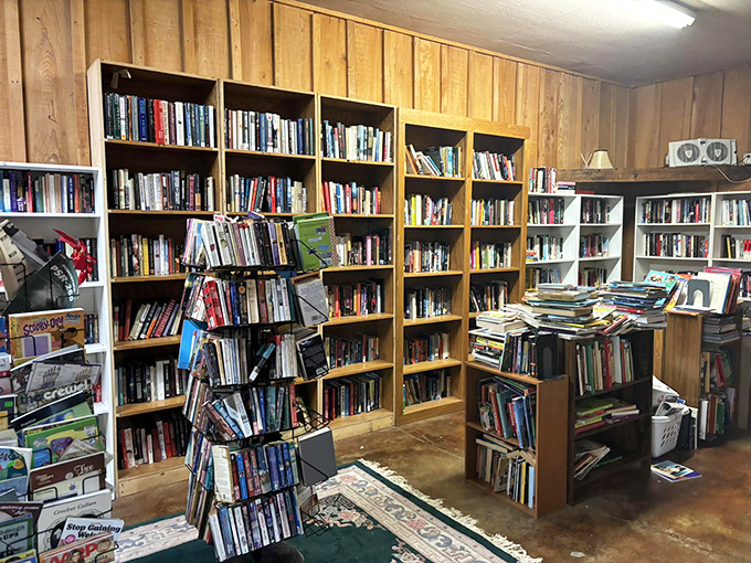 Bookworms, rejoice! This literary labyrinth is where bestsellers of yesteryear come to find new homes and start new chapters.