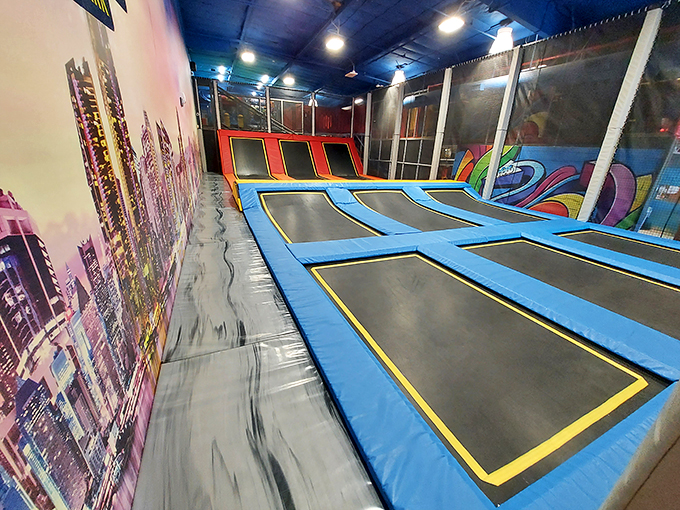 Rainbow balls and jungle thrills? It's like Mother Nature and Willy Wonka teamed up to design the ultimate playspace.