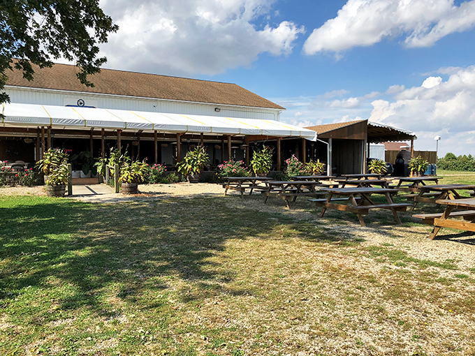 Seasons change, but Vahling's charm remains. Whether blanketed in snow or bathed in autumn hues, this elevated escape offers a view that pairs perfectly with every pour.