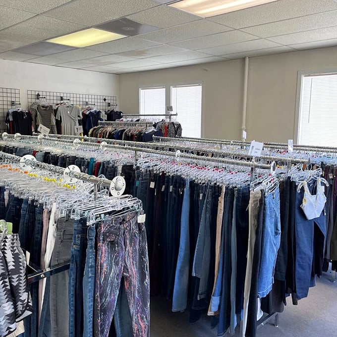 West Main Thrift (Ayer): "Expect the unexpected! You might come for a coffee mug and leave with a typewriter, golf clubs, and dogs playing poker. That's the magic of thrifting!"