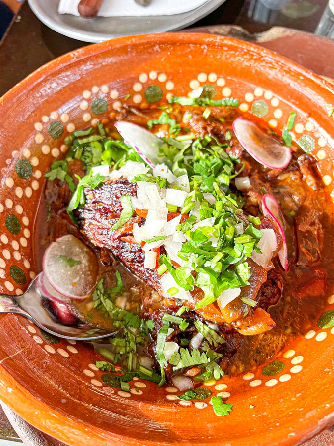 Birria so good, it'll make you forget about your ex. This bowl of comfort is like a warm hug for your stomach.