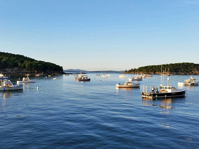 Harbor haven! These bobbing boats paint a scene so picturesque, you'll swear you can smell the salt air through your screen.