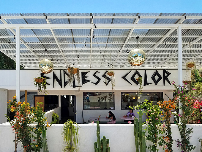 Endless Color: A feast for the eyes and the Instagram feed. This vibrant eatery serves up dishes as colorful as its name suggests.