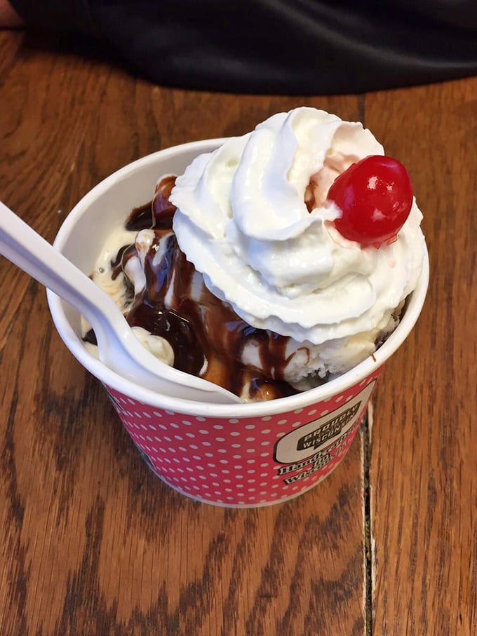 Hot fudge cascading over creamy vanilla like a chocolatey Niagara Falls. Grab a spoon and dive in!