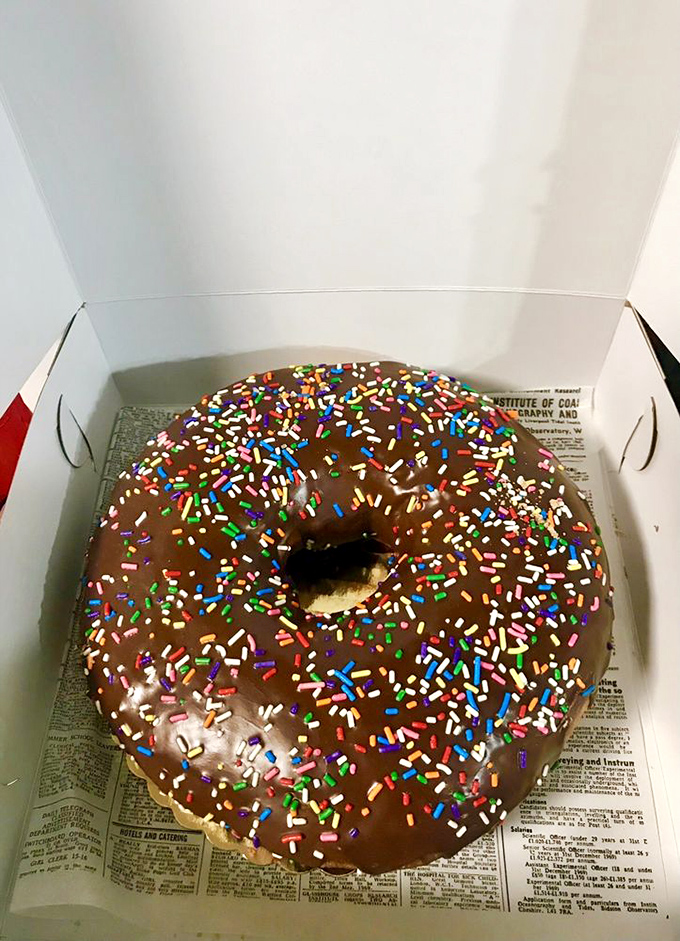 Holy donut, Batman! This chocolate-glazed behemoth with rainbow sprinkles is big enough to use as a life preserver. Deliciously dangerous!