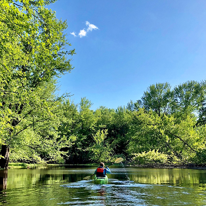 Paddle your worries away: Nothing says "serenity now" quite like gliding through a green tunnel of tranquility on the river.