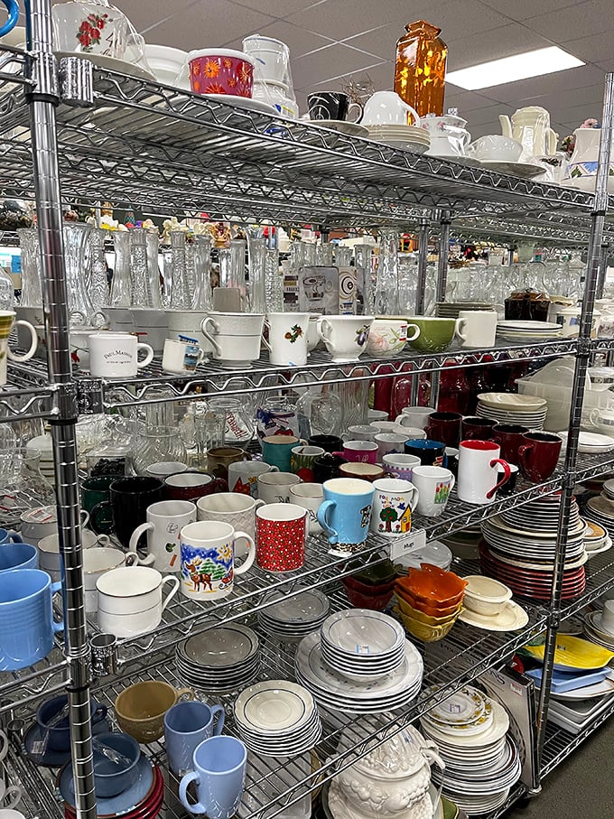Kitchenware galore! From quirky mugs to vintage Pyrex, your culinary adventures start here.