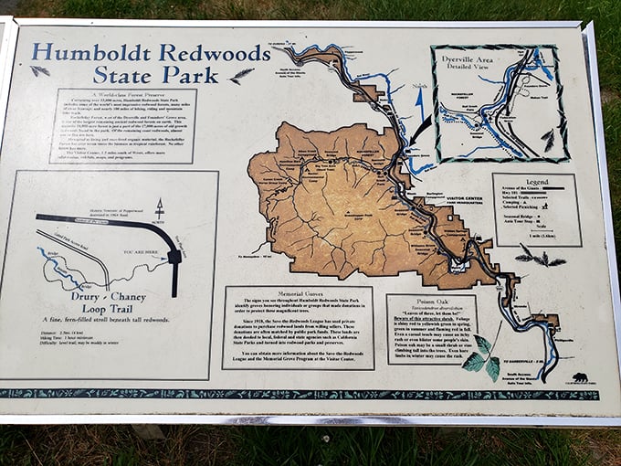 The ultimate treasure map: X marks the spot where you'll find more natural wonders than you can shake a walking stick at.
