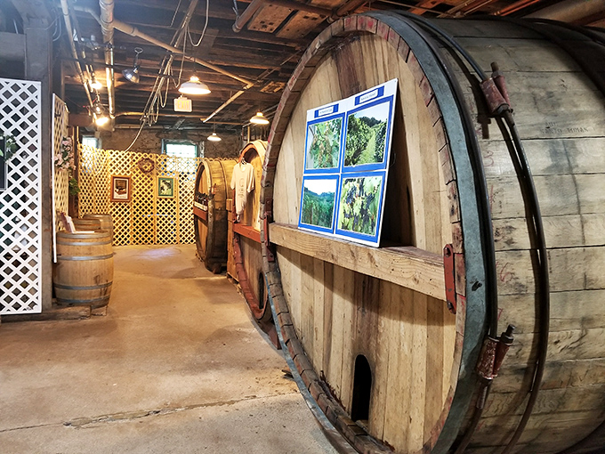 Welcome to the wine nursery! These oak barrels are like cozy cribs, nurturing future vintages into flavorful maturity.