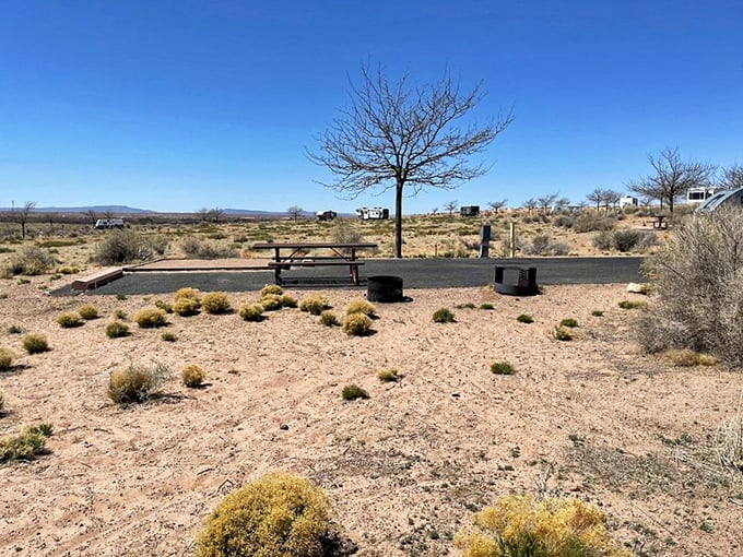 Desert relaxation station: Where else can you picnic in the shadow of history? It's like dining with the ghosts of civilizations past!