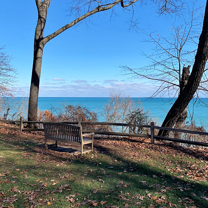 The best seat in the house! This bench invites you to sit a spell and drink in the view - no reservation required.