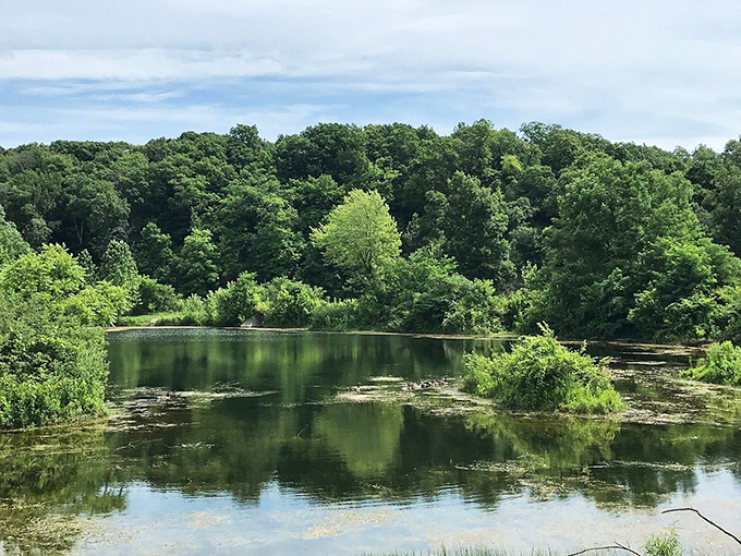Fifty shades of green? More like fifty shades of serene. Kickapoo's lakes and forests blend into a palette of tranquility.