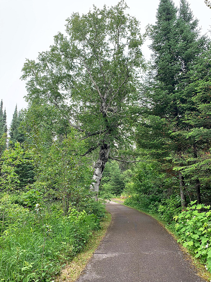 The yellow brick road's got nothing on this: A paved trail through paradise. Dorothy would be jealous of this emerald-fringed path.