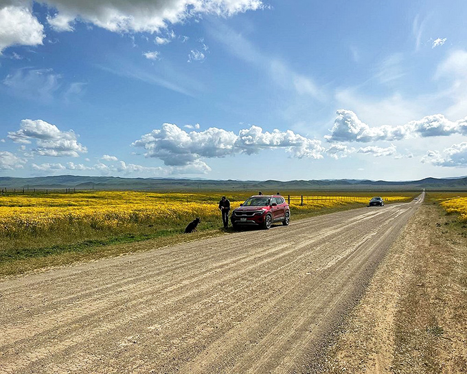 Roadside attraction? More like roadside distraction! Good luck keeping your eyes on the road with views like these.