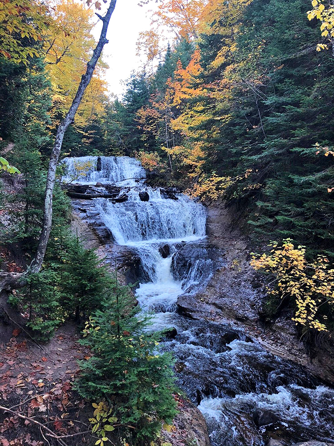 Autumn's grand finale at Sable Falls. Nature's own fireworks display, with a soundtrack of rushing water. Simply breathtaking!
