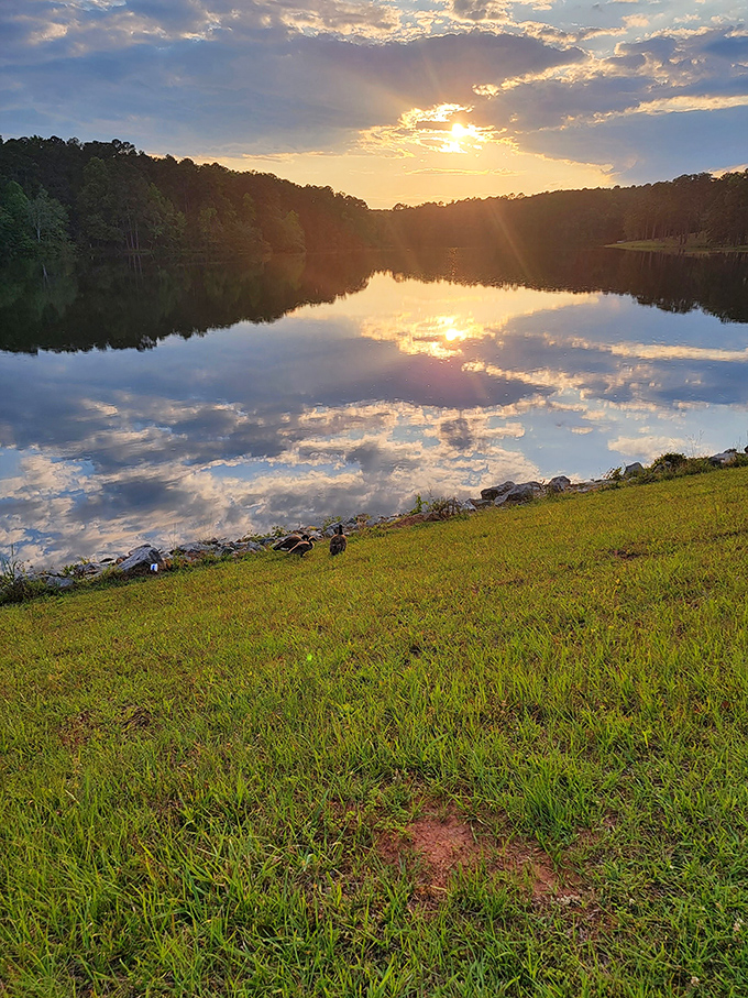 Mother Nature's light show. This sunset over the lake puts even the fanciest fireworks display to shame. No earplugs required!