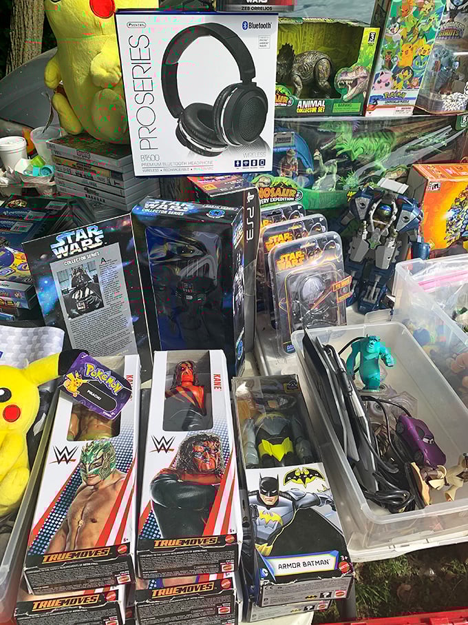 May the force of nostalgia be with you! This toy bonanza is where Star Wars meets WWE, and Pokemon crashes the party.