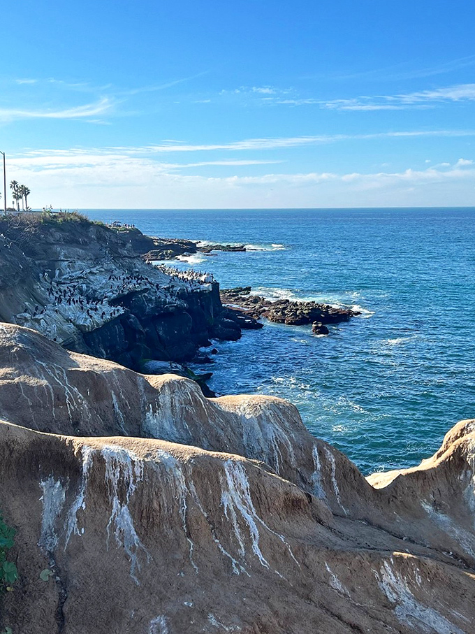 La Jolla's natural balcony: Where the views are always five-star, and the dress code is strictly casual.
