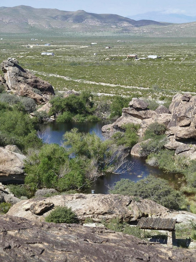 Top of the world, Ma! From up here, you can see forever - or at least to the next county. Don't forget your binoculars!